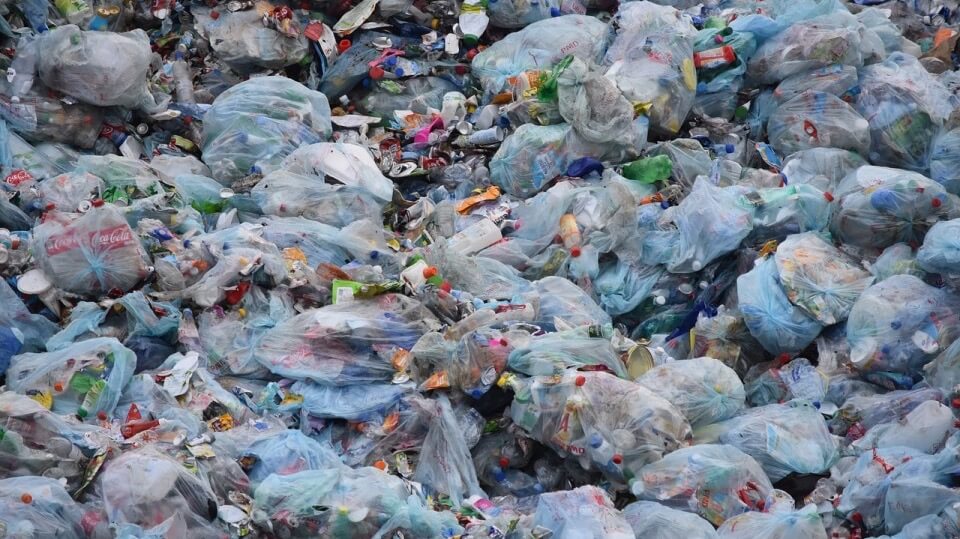 Vědci objevili bakterii požírající těžko recyklovatelný plast ...